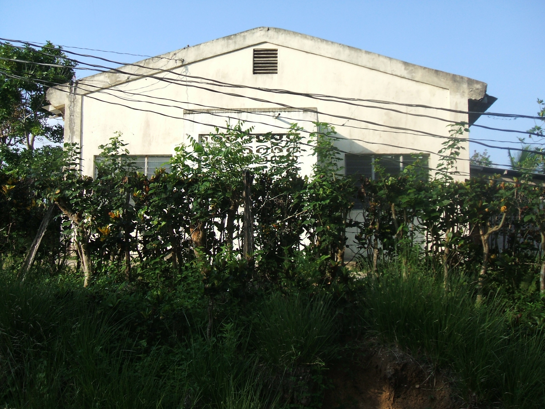 Central Jamaica Conference of Seventh-day Adventists :: Shady Grove